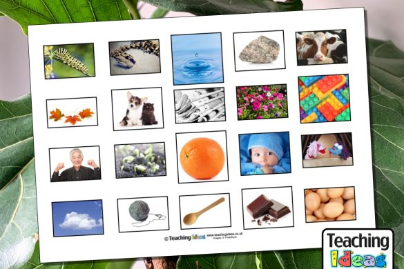 Teaching Ideas for a Science Day! - Teaching Ideas