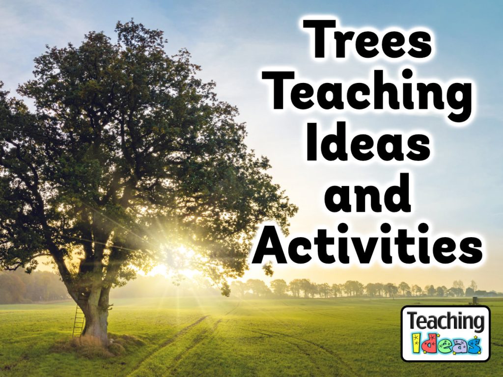 Plants - Teaching Ideas
