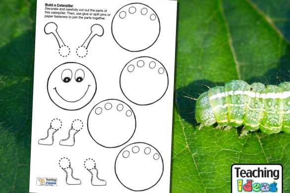 Create Your Own Animal - Teaching Ideas