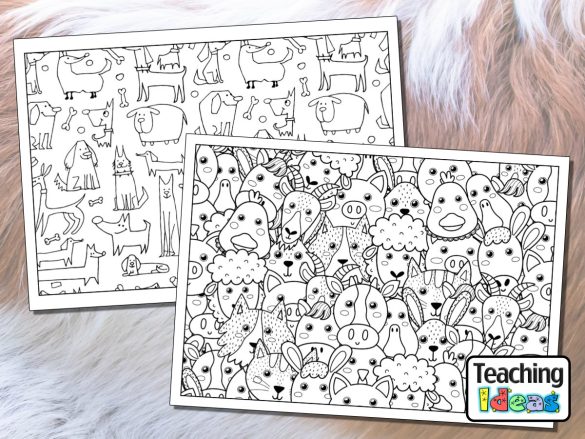 PSHE - Teaching Ideas